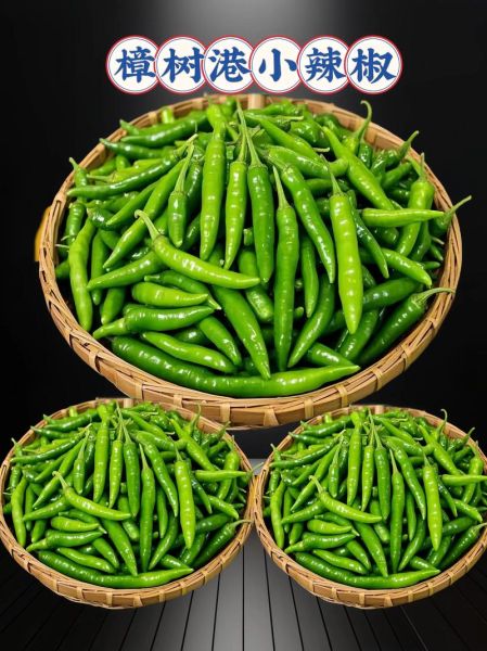 樟树港辣椒为什么这么辣_正宗产地在哪里-第2张图片-山城妙识