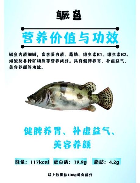 桂花鱼营养价值_孕妇能吃吗-第1张图片-山城妙识 桂花鱼营养价值_孕妇能吃吗-第1张图片-山城妙识