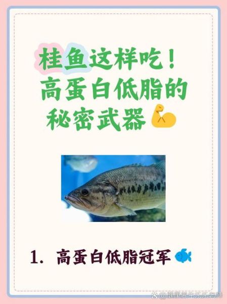 桂花鱼营养价值_孕妇能吃吗-第2张图片-山城妙识 桂花鱼营养价值_孕妇能吃吗-第2张图片-山城妙识