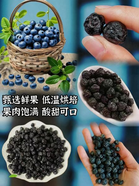 蓝莓干每天吃几粒合适_蓝莓干一天吃多少粒最好-第2张图片-山城妙识