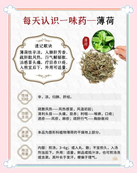 薄荷怎么吃最健康_薄荷的功效与作用有哪些-第2张图片-山城妙识 薄荷怎么吃最健康_薄荷的功效与作用有哪些-第2张图片-山城妙识