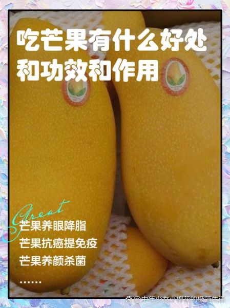 吃芒果有什么好处_吃芒果有什么坏处-第1张图片-山城妙识