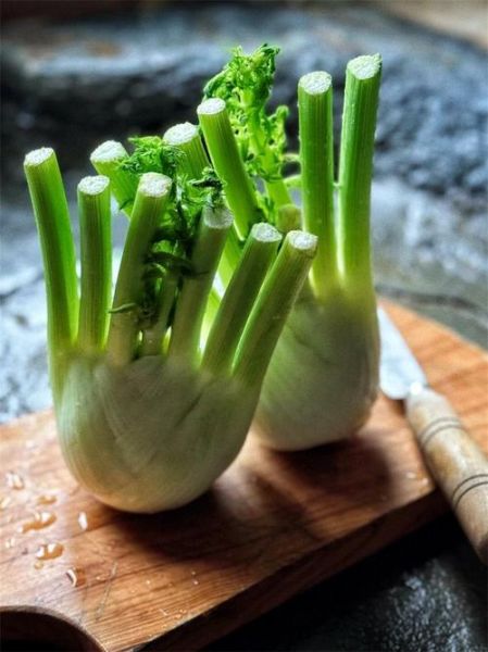 茴香根的功效与作用_茴香根怎么吃效果最好-第2张图片-山城妙识 茴香根的功效与作用_茴香根怎么吃效果最好-第2张图片-山城妙识