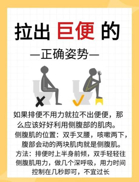屎太硬已到肛门拉不出怎么办_如何快速软化-第2张图片-山城妙识