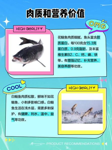 鲢鱼图片大全大图_如何区分花鲢与白鲢-第2张图片-山城妙识 鲢鱼图片大全大图_如何区分花鲢与白鲢-第2张图片-山城妙识