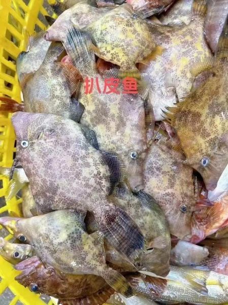 大扒皮鱼怎么做好吃_家常做法窍门-第3张图片-山城妙识