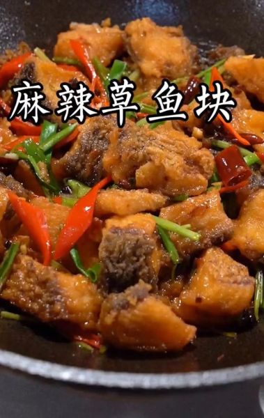 红烧草鱼怎么做才好吃_草鱼怎么做好吃-第2张图片-山城妙识