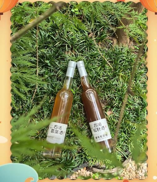 菖蒲酒的功效与作用_菖蒲酒怎么喝才养生-第1张图片-山城妙识