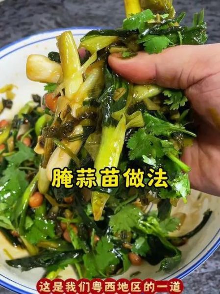 蒜苗怎么腌制_家常蒜苗腌制方法-第1张图片-山城妙识