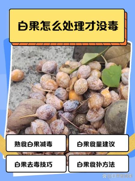 白果中毒症状_白果中毒怎么办-第2张图片-山城妙识