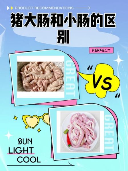 猪小肠是哪个部位_猪小肠是猪的什么器官-第1张图片-山城妙识
