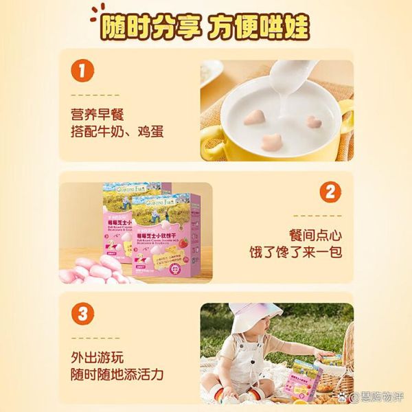 婴儿食品品牌排行榜_哪个牌子最安全-第3张图片-山城妙识