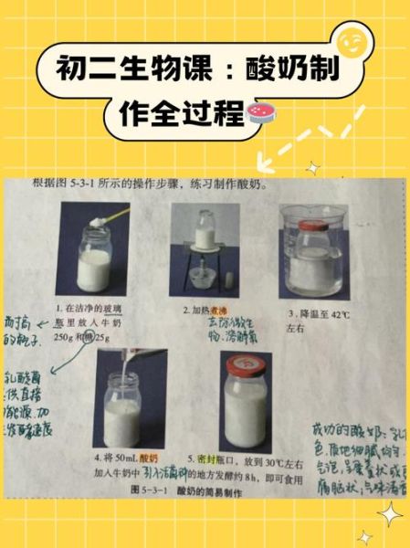 初二生物酸奶怎么自制_酸奶发酵失败的原因-第2张图片-山城妙识