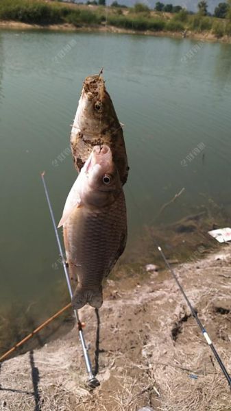 钓鱼图片大全超清_如何挑选高清图-第3张图片-山城妙识