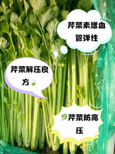 长期吃芹菜降血压吗_芹菜的副作用有哪些-第3张图片-山城妙识 长期吃芹菜降血压吗_芹菜的副作用有哪些-第3张图片-山城妙识