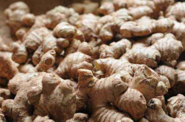 十月茄子赛砒霜_是真的吗-第1张图片-山城妙识