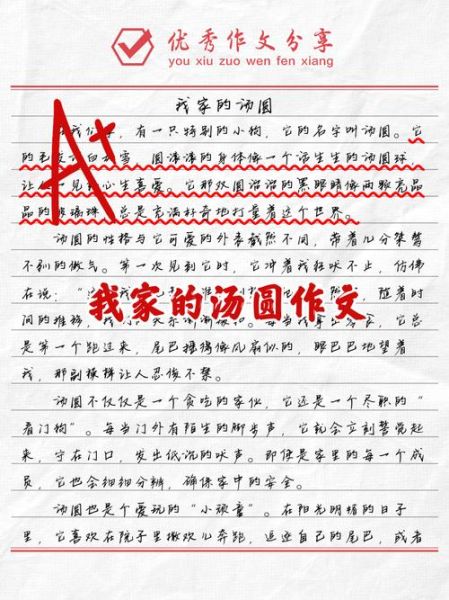 煮汤圆作文怎么写_汤圆作文500字如何写生动-第3张图片-山城妙识