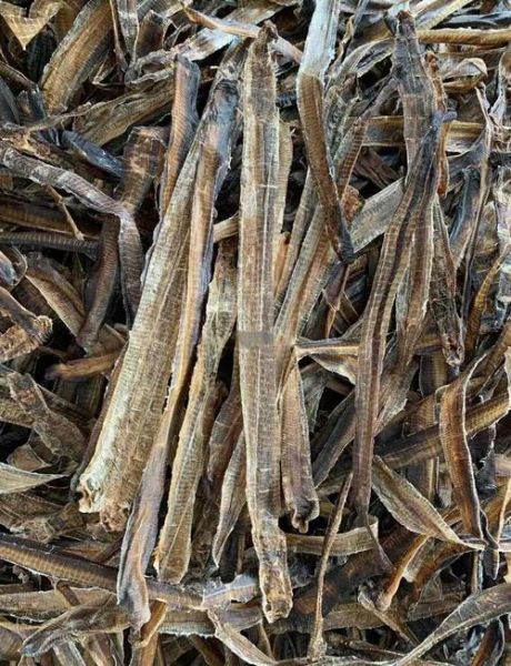 地龙的功效与作用禁忌_地龙用量多少克合适-第3张图片-山城妙识