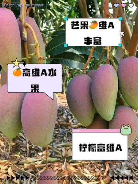 含维生素a的食物有哪些_哪些水果维生素a含量高-第3张图片-山城妙识