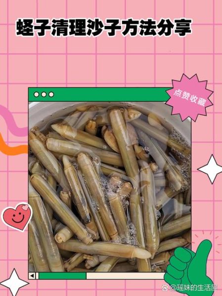 蛏子怎么清洗图解_蛏子怎么吃图解-第1张图片-山城妙识 蛏子怎么清洗图解_蛏子怎么吃图解-第1张图片-山城妙识