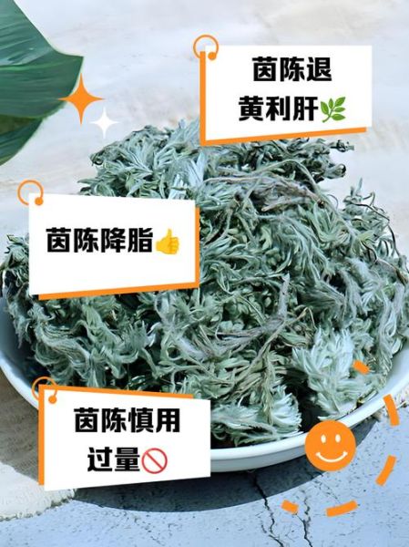 茵陈的功效与作用及禁忌症_茵陈泡水喝的正确方法-第2张图片-山城妙识 茵陈的功效与作用及禁忌症_茵陈泡水喝的正确方法-第2张图片-山城妙识
