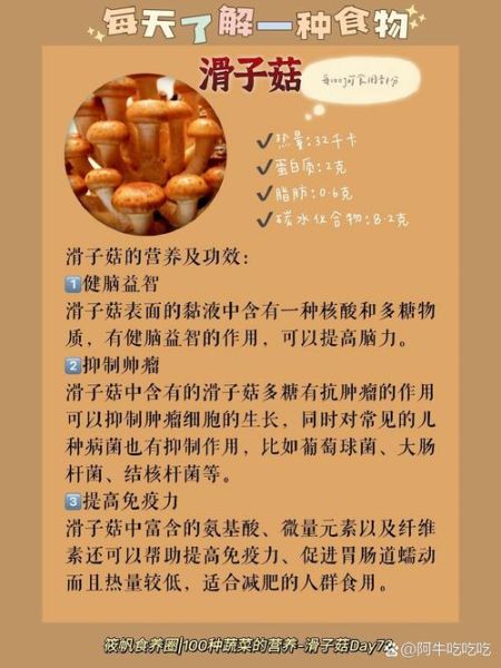 滑子菇的营养价值_滑子菇的功效与作用-第1张图片-山城妙识