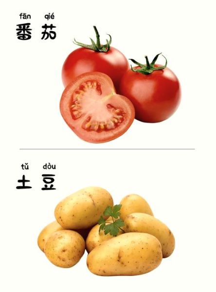 蔬菜种类图片大全_如何快速识别常见蔬菜-第2张图片-山城妙识
