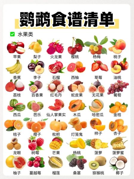 虎皮鹦鹉吃什么食物_虎皮鹦鹉能吃哪些蔬菜水果-第1张图片-山城妙识