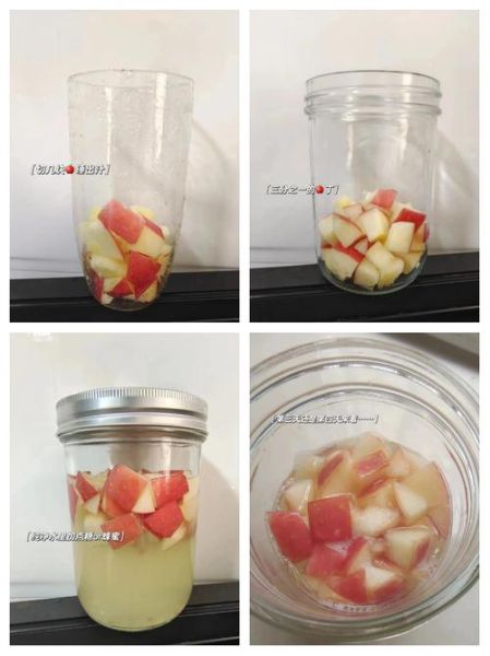 苹果酵素怎么做_苹果酵素的功效与作用-第3张图片-山城妙识 苹果酵素怎么做_苹果酵素的功效与作用-第3张图片-山城妙识