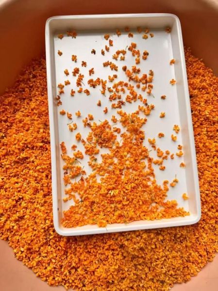 炒桂花茶的做法_桂花茶怎么炒才香-第1张图片-山城妙识