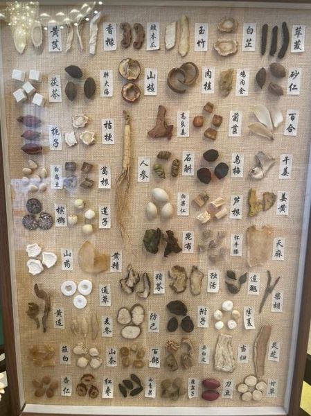 中药图片大全带药名_如何快速识别常见药材-第1张图片-山城妙识