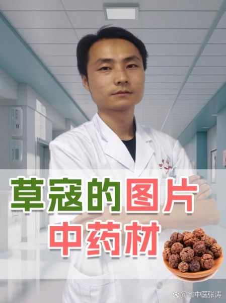 草寇的功效与作用_草寇的禁忌有哪些-第2张图片-山城妙识 草寇的功效与作用_草寇的禁忌有哪些-第2张图片-山城妙识