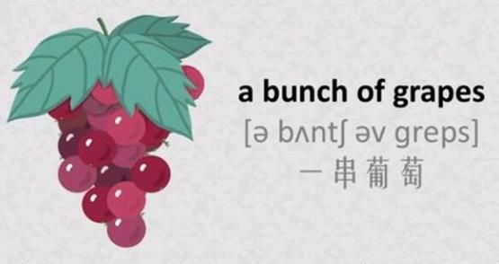 葡萄的英文怎么说_葡萄英文怎么读-第3张图片-山城妙识