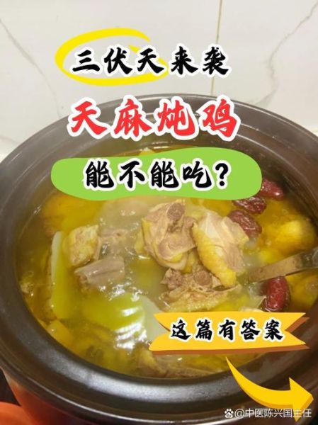 哪些人不能吃天麻炖鸡_天麻炖鸡禁忌人群-第2张图片-山城妙识