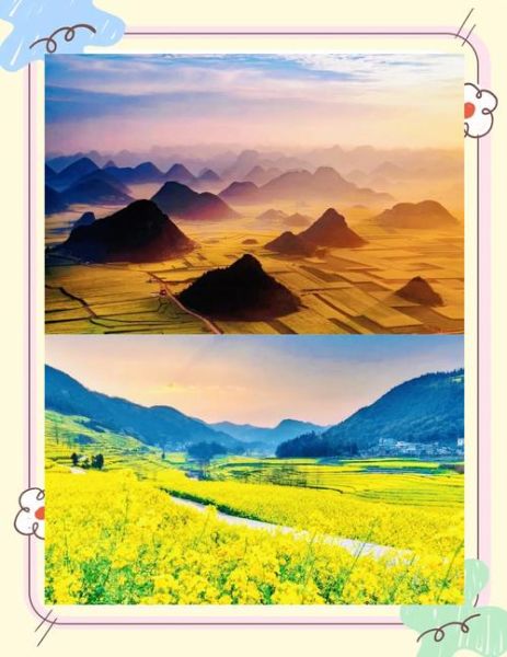 罗平油菜花最佳时间_什么时候去罗平看油菜花最合适-第2张图片-山城妙识