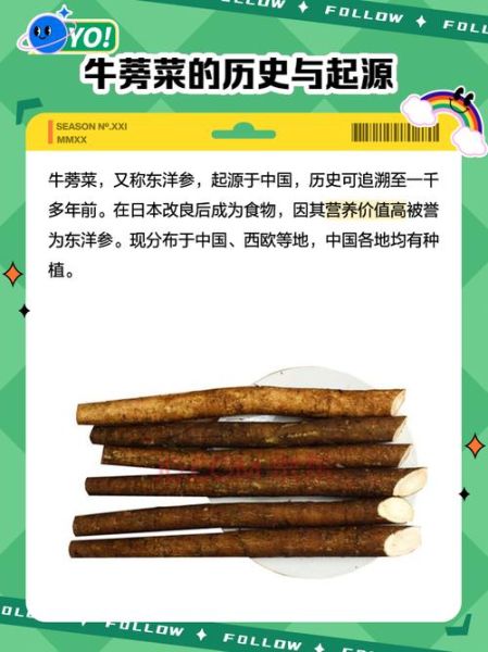 鲜牛蒡怎么吃_鲜牛蒡的禁忌有哪些-第1张图片-山城妙识