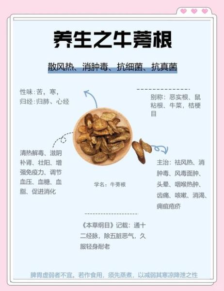 鲜牛蒡怎么吃_鲜牛蒡的禁忌有哪些-第3张图片-山城妙识