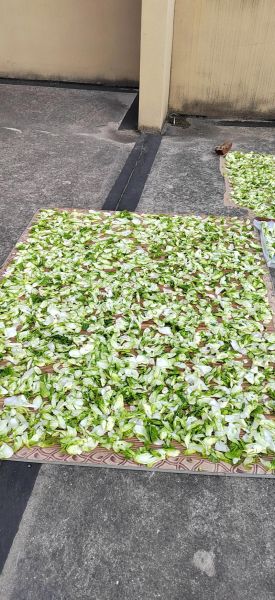 纯菜图片怎么拍_纯菜拍摄技巧-第1张图片-山城妙识