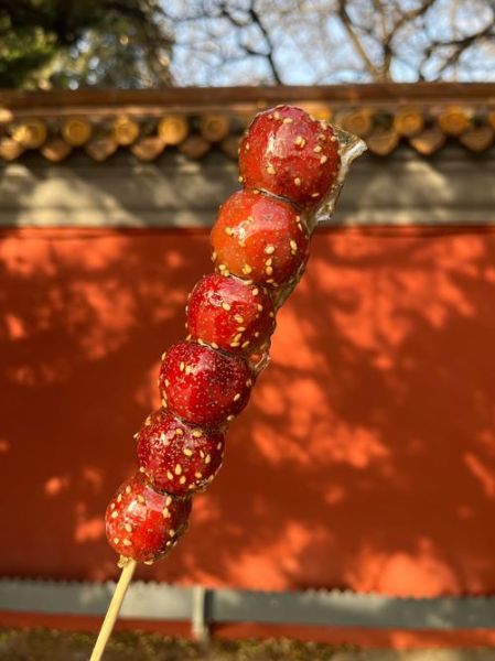 冰糖葫芦怎么拍好看_冰糖葫芦图片高清-第1张图片-山城妙识