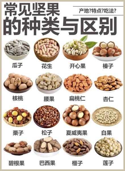 什么是坚果类食物图片_坚果类食物有哪些常见品种-第1张图片-山城妙识 什么是坚果类食物图片_坚果类食物有哪些常见品种-第1张图片-山城妙识