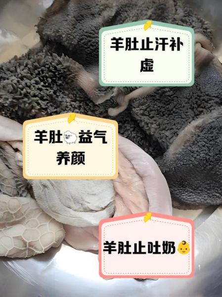 羊肚的功效与作用禁忌_羊肚什么人不能吃-第3张图片-山城妙识
