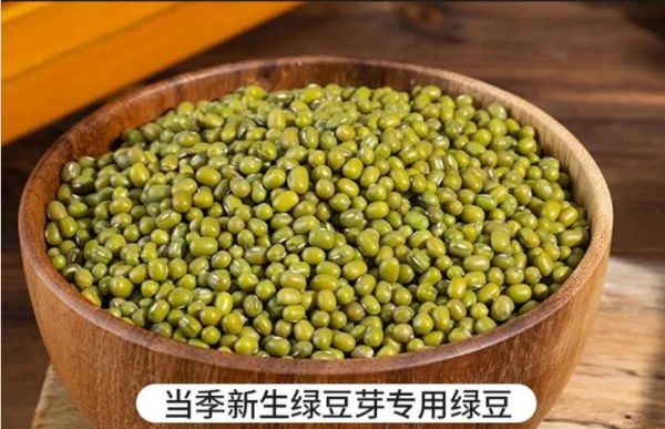 没泡的绿豆要煮多久_绿豆不泡直接煮能熟吗-第3张图片-山城妙识