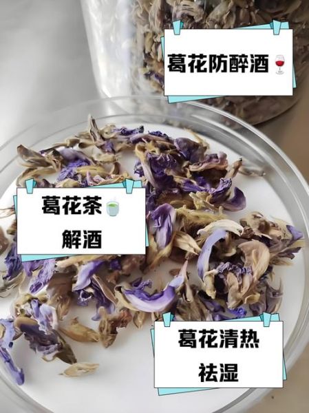 葛根花泡水喝的禁忌_哪些人不能喝-第2张图片-山城妙识