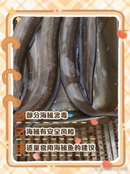 海鳗鱼的功效与作用_海鳗鱼什么人不能吃-第1张图片-山城妙识