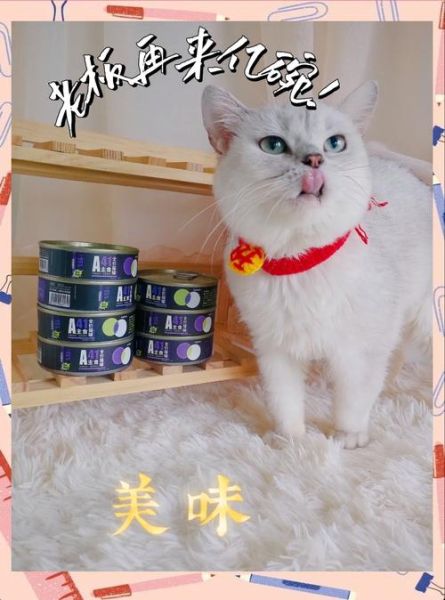 麻球说罐头怎么样_麻球说罐头值得买吗-第3张图片-山城妙识