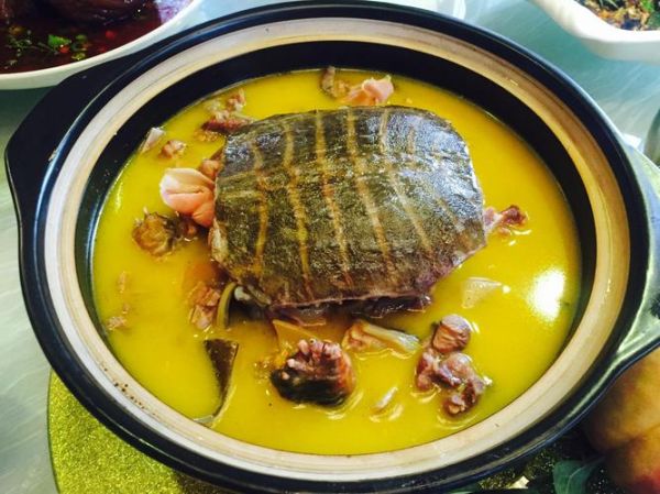 霸王别姬是哪里的菜_霸王别姬菜品图片长什么样-第1张图片-山城妙识