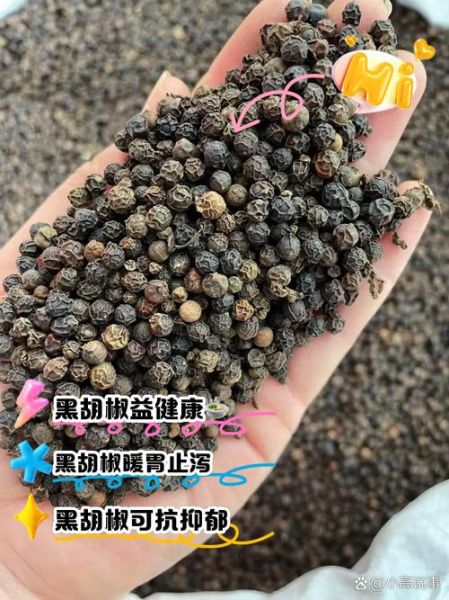 胡椒的功效与作用_胡椒的禁忌有哪些-第1张图片-山城妙识
