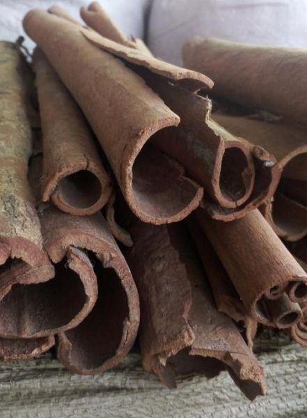 肉桂图片大全大图_肉桂高清图片怎么找-第2张图片-山城妙识