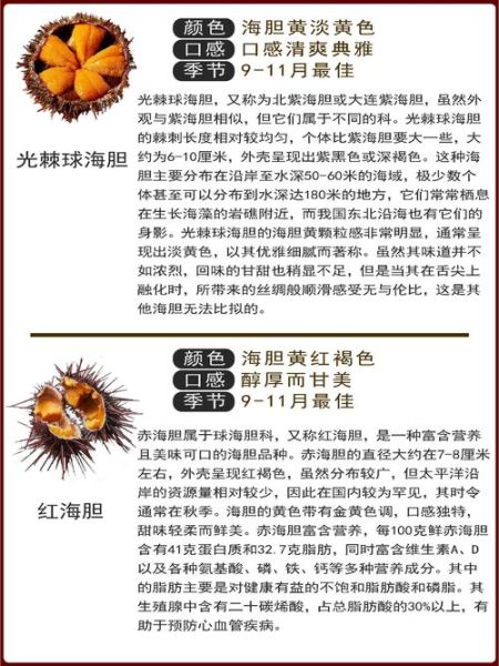 海胆能不能生吃_海胆刺身怎么处理-第1张图片-山城妙识