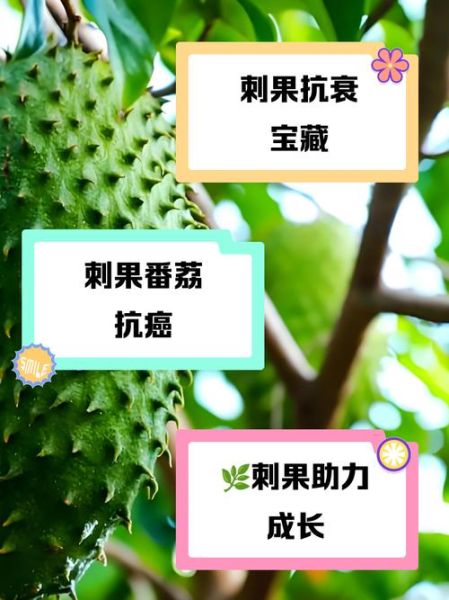 刺果番荔枝的功效与作用_刺果番荔枝怎么吃效果最好-第1张图片-山城妙识 刺果番荔枝的功效与作用_刺果番荔枝怎么吃效果最好-第1张图片-山城妙识